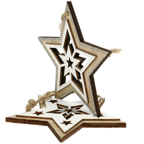 Floristik24.lt Kalėdų dekoravimo žvaigždė pakabinti balta, gamta 10cm ...